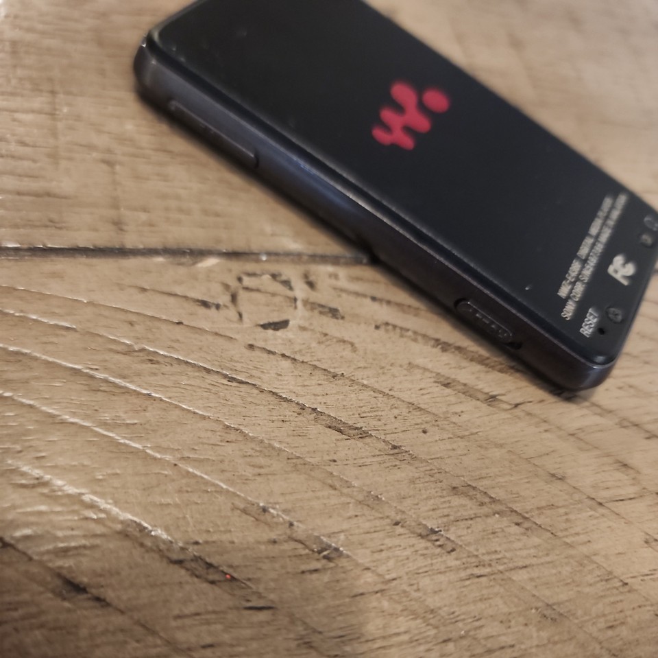 Sony Walkman Mp3 Digital Media Player Model NWZ-E436F 4 GB Black excl ...