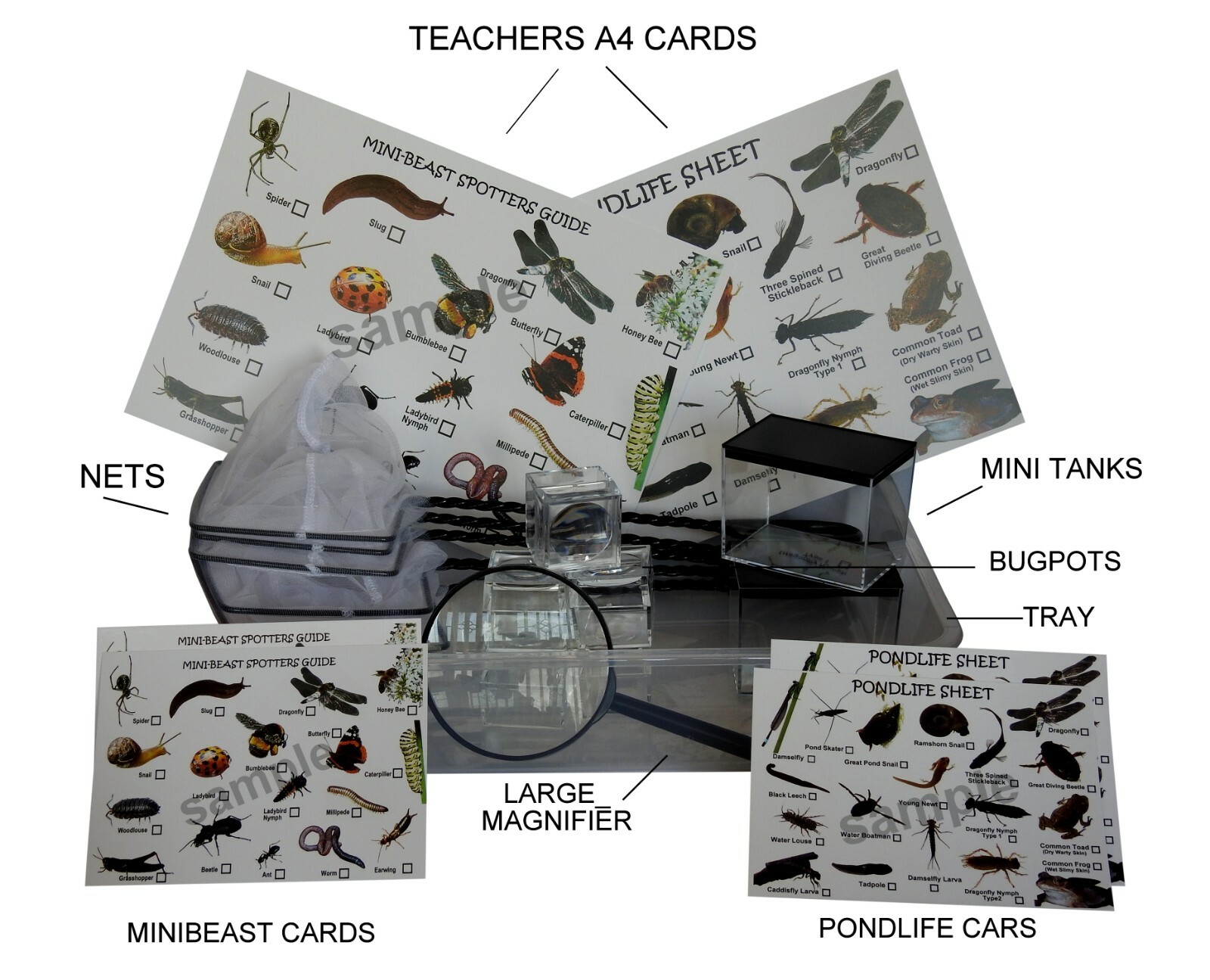 Mini-beast,Pond Dipping Kits Including,Bug Pots,Dipping Nets & FREE ...