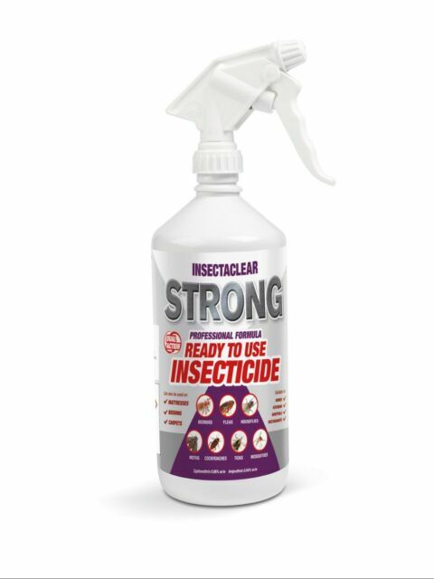 DIGRAIN Insectaclear 1L Insect Killing Spray (‎3292-S) for sale online ...