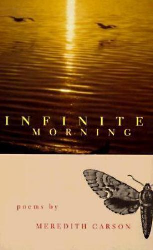 Infinite Morning : Poems by Meredith Carson (1997, Hardcover) for sale ...