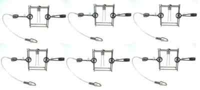 6 Belisle #120 Super X Body Grip Trap Trapping Supplies 6 Traps | eBay