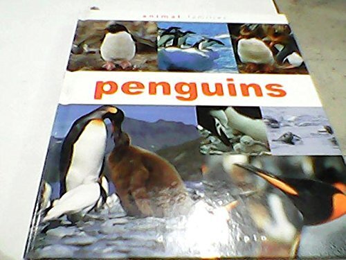 penquins (animal families), daniel gilpin 1904594573 | eBay