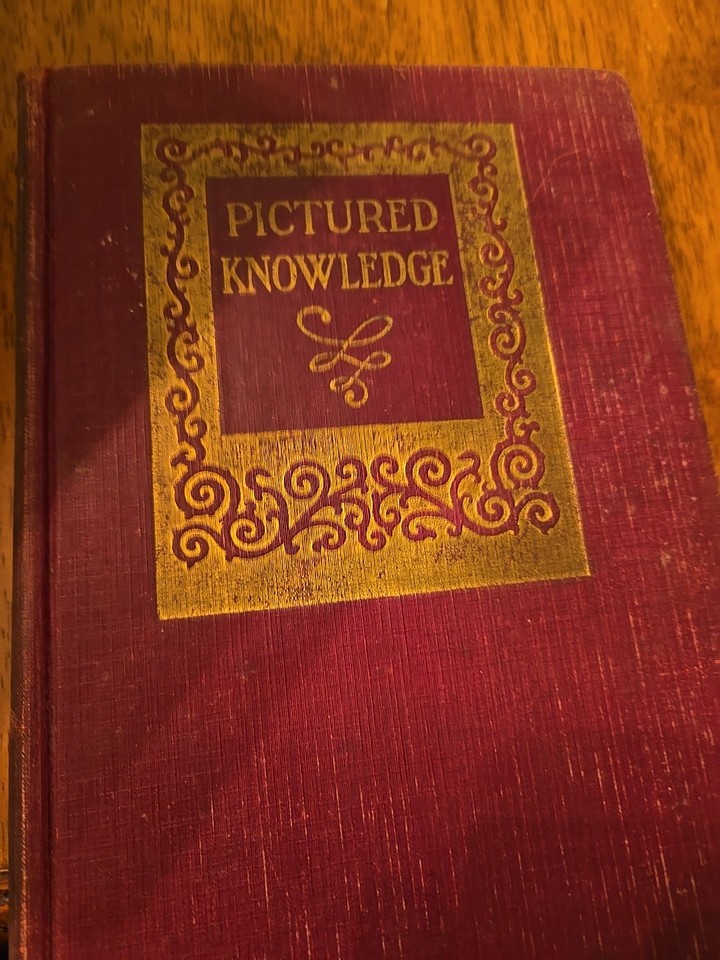 Antique Illustrated 'Pictured Knowledge' Encyclopedia Set Of 9 ...