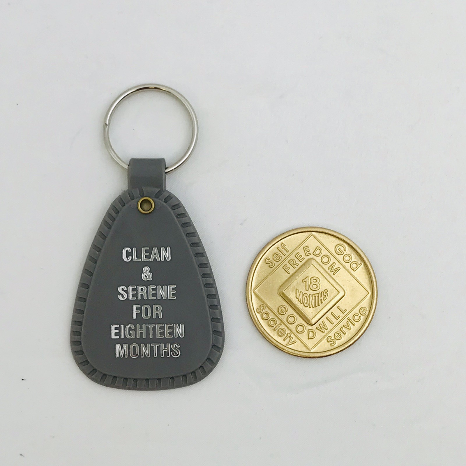 Narcotics Anonymous 18 Months Clean Medallion and Keytag ENGLISH NA | eBay