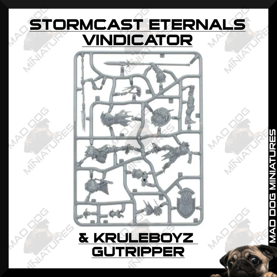 Warhammer Age of Sigmar Push Fit Stormcast Vindicator & Kruleboyz ...