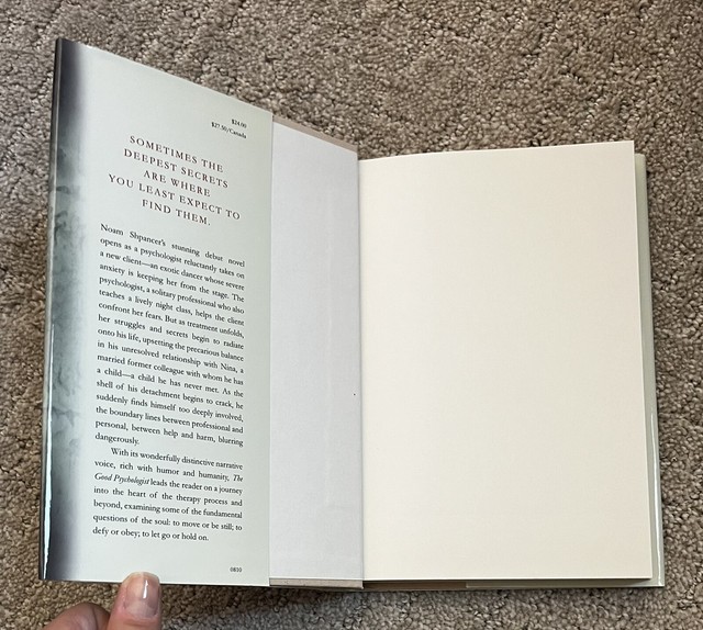 The Good Psychologist : A Novel by Noam Shpancer (2010, Hardcover) for ...