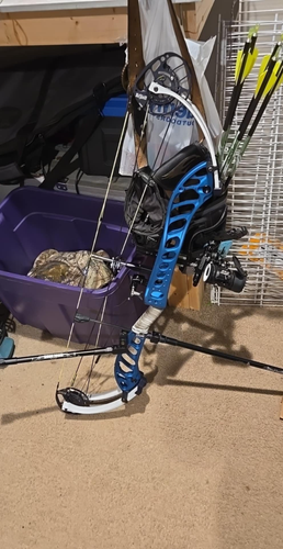 Pse Dominator Duo 38 SE cam 60# Blue with White limbs New Strings | eBay