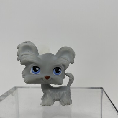 LPS Littlest Pet Shop 227 Yorkie Dog Grey with Blue Dot Eyes Hasbro | eBay