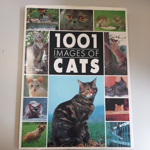 1001 IMAGES OF THE CAT Hardcover Over 1000 Dazzling Colour Photos of ...