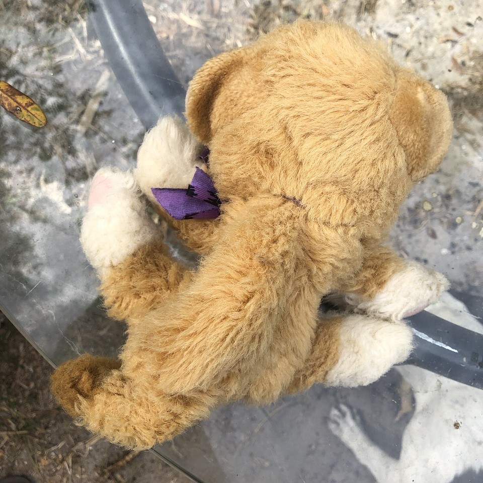 Vtg Tyco Kitty Kitty Kittens Plush Jungle Kitten Orange White Cat Lion ...