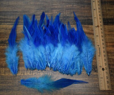 100 Loose 4-6" Dyed BLUE Rooster Saddle Hackle Feathers | eBay