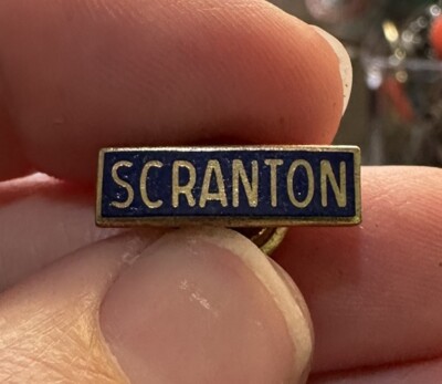 1964 WILLIAM SCRANTON FOR PRESIDENT CAMPAIGN PIN ? | eBay