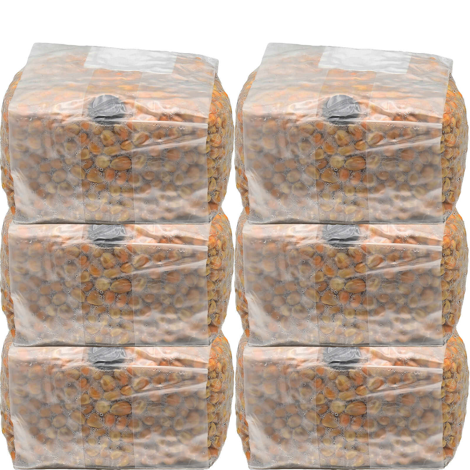 6-Pack Sterilized Popcorn Grain Spawn – 1 lb Bags with Injection Ports ...