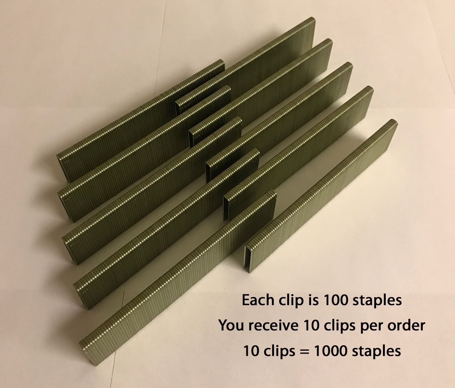 L Staples L08 Stainless Steel 18 gauge 1/4" crown - 1/2" length (1000 ...