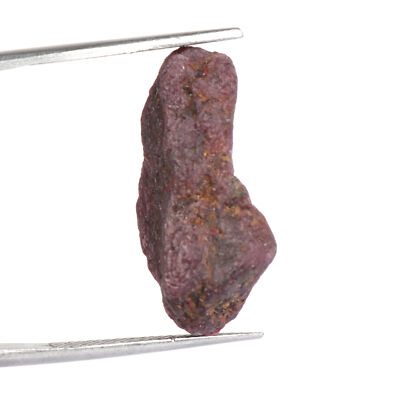 Natural Red Star Ruby Rough 20.70 Ct. 24 mm Loose Gemstone For Lapidary ...