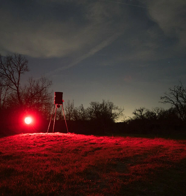 Red Led Lights Hog Hunting | Shelly Lighting