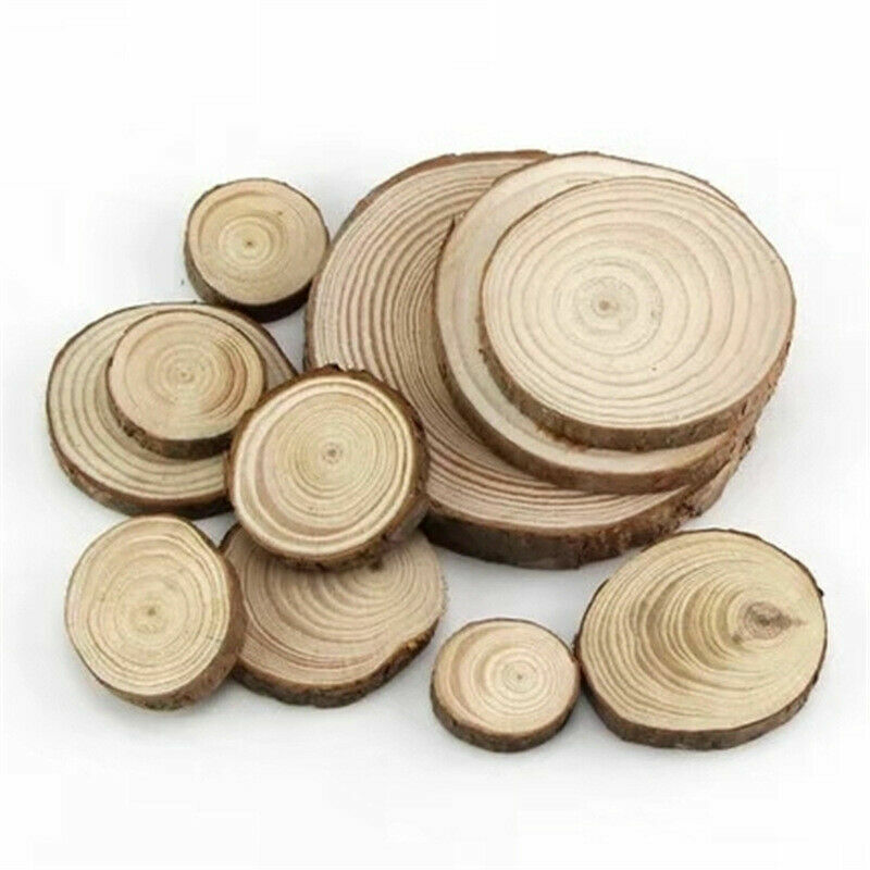100pcs Natural Pine Wood Tree Bark Log Slices 2-3cm Round Crafts DIY ...
