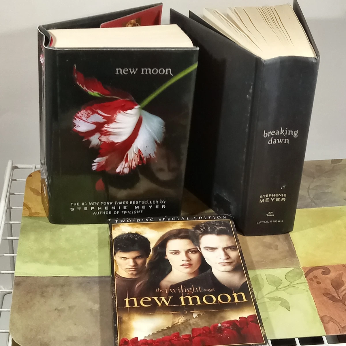 Vampires And Werewolves From Twilight