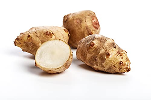 Sunchokes by Greenhouse PCA - 2.5 lbs Jerusalem Artichoke Bulbs for ...