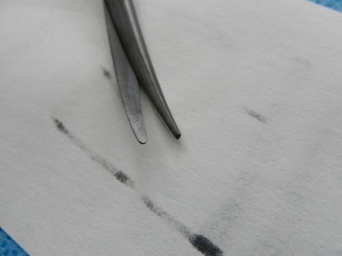 D6576 Fehling Metzenbaum Surgical Scissors Curved Blunt Tip 20cm BOC-3 ...