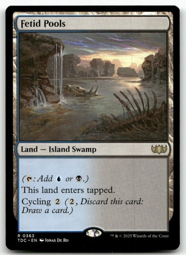 Fetid Pools #363 MTG Tarkir Dragonstorm TDC NM X1 | eBay