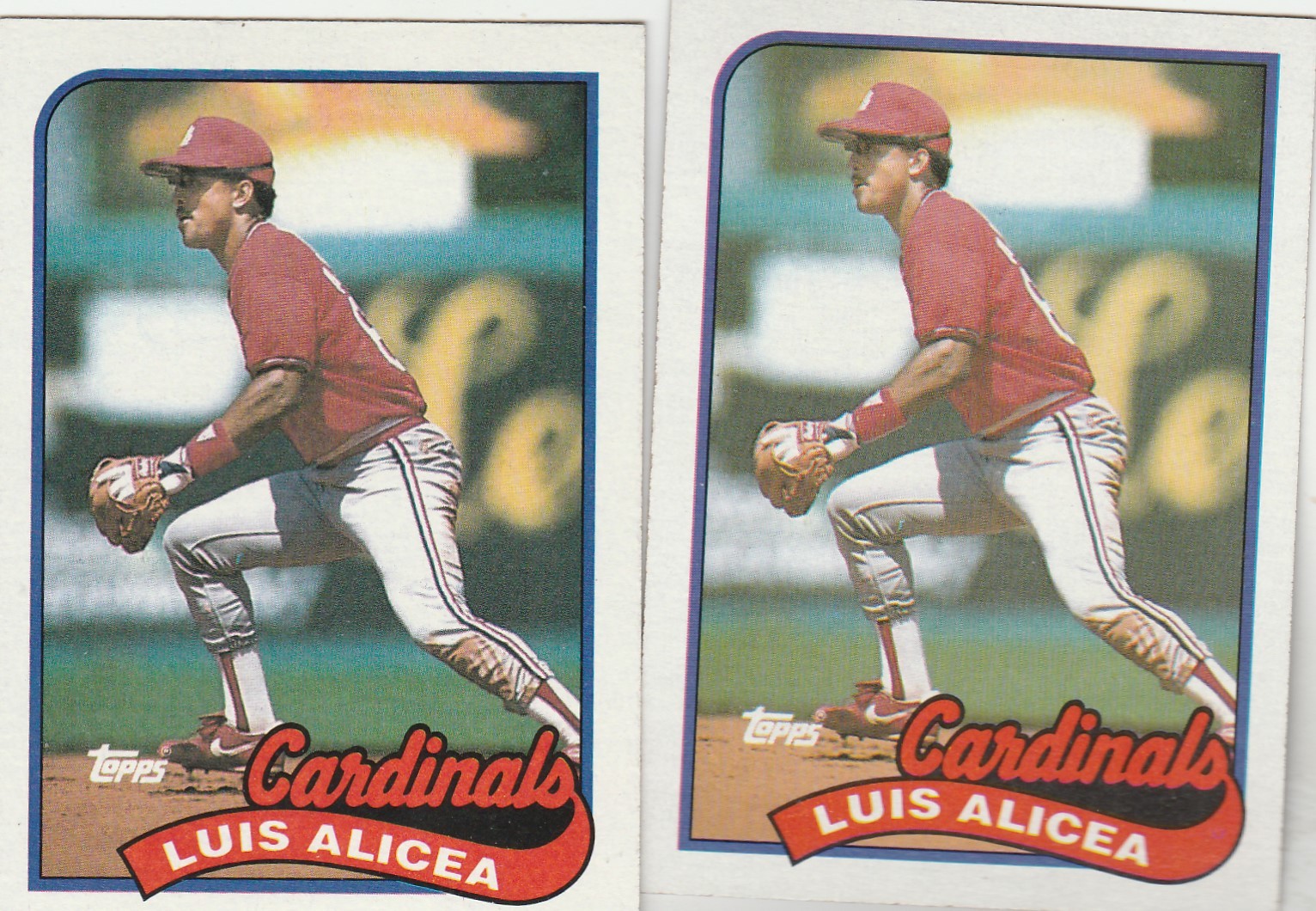 FREE SHIPPING-MINT-1989 Topps #588 Luis Alicea Cardinals -2 CARDS | eBay