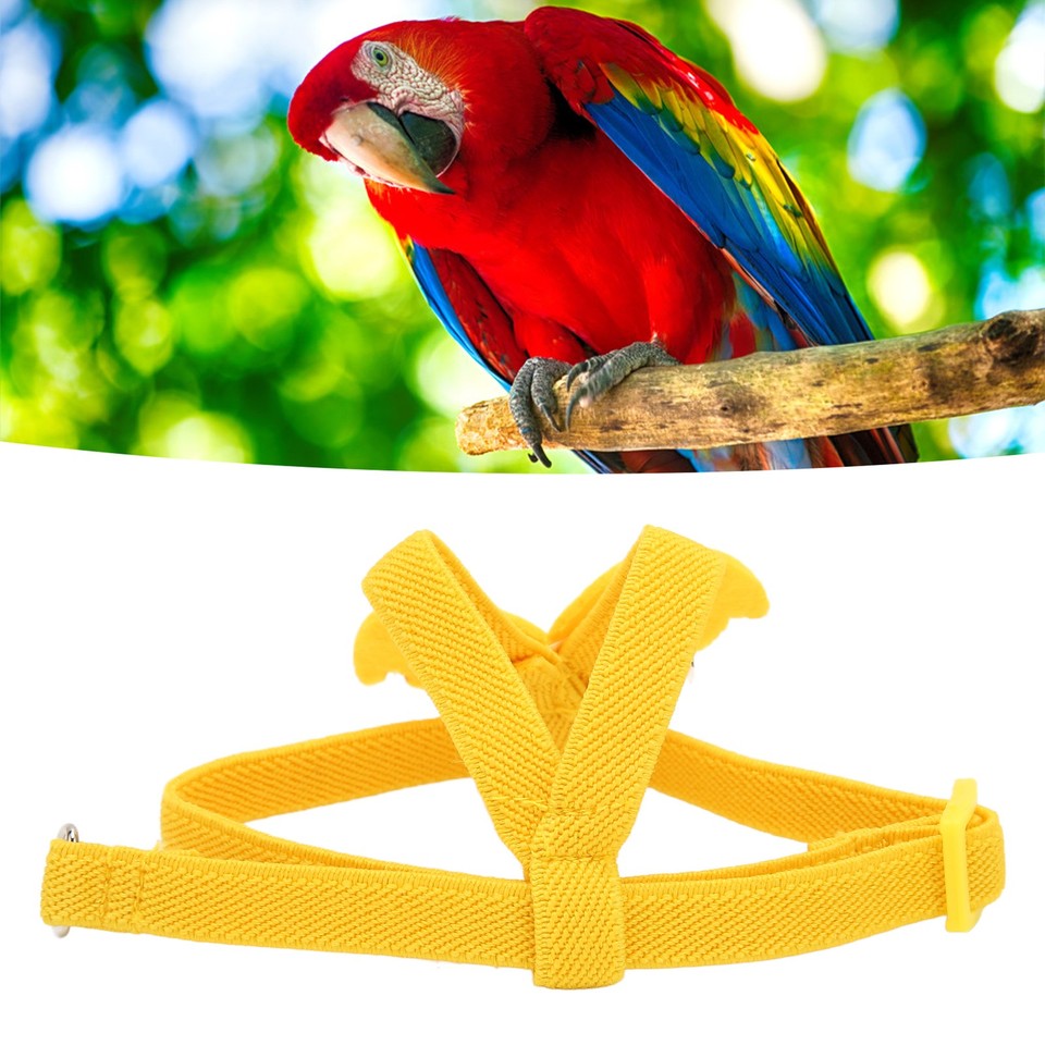 Bird Harness Flying Guide Leash Flight Elastic Training Traction Rope ...