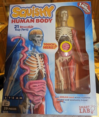 Smart Lab Toys Squishy Human Body 21 removable body parts ~NEW in box ...