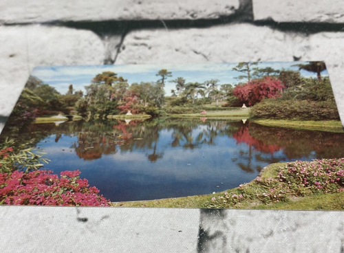 Postcard World Famous Reflection Pool At Beautiful Cypress Gardens Vtg ...
