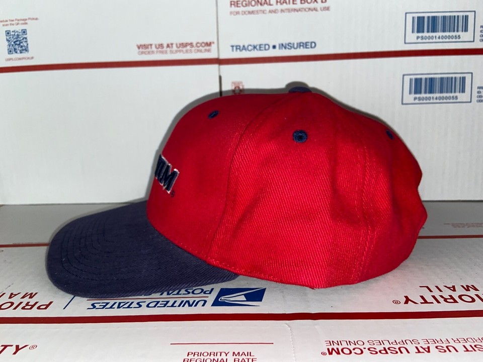 Quantum Baseball Cap dad Hat vintage Computer Company Inc. Physics ...