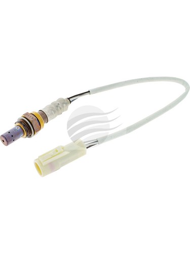 NTK Oxygen Sensor 4 Wire For Ford Falcon BF-FG 4.0L 5.4L, XR6 XR8 FPV ...