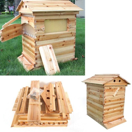 Wooden Beekeeping Beehive House Box + 7PCS Automatic Honey Bee Comb ...
