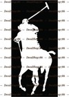 Polo Hockey Player - Outdoor Game Sports - Vinyl Die-Cut Peel N' Stick ...
