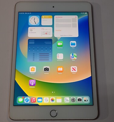 Apple iPad mini 5th Gen A2126,256GB, Wi-Fi + 4G , 7.9",Gold:ID774 | eBay