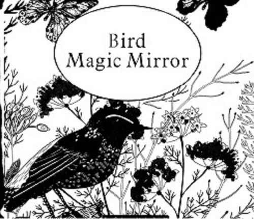 Bird Magic Mirror Colouring in book | eBay