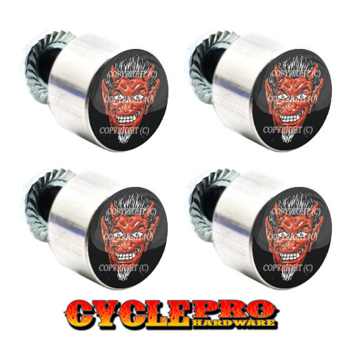 4 Tall Silver Billet License Plate Frame Tag Bolts RED DEVIL - 008 | eBay