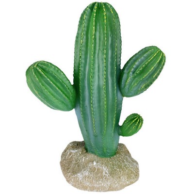 Komodo Cactus Plante Saguaro 1 Chaque / 9.5 IN Par Komodo | eBay