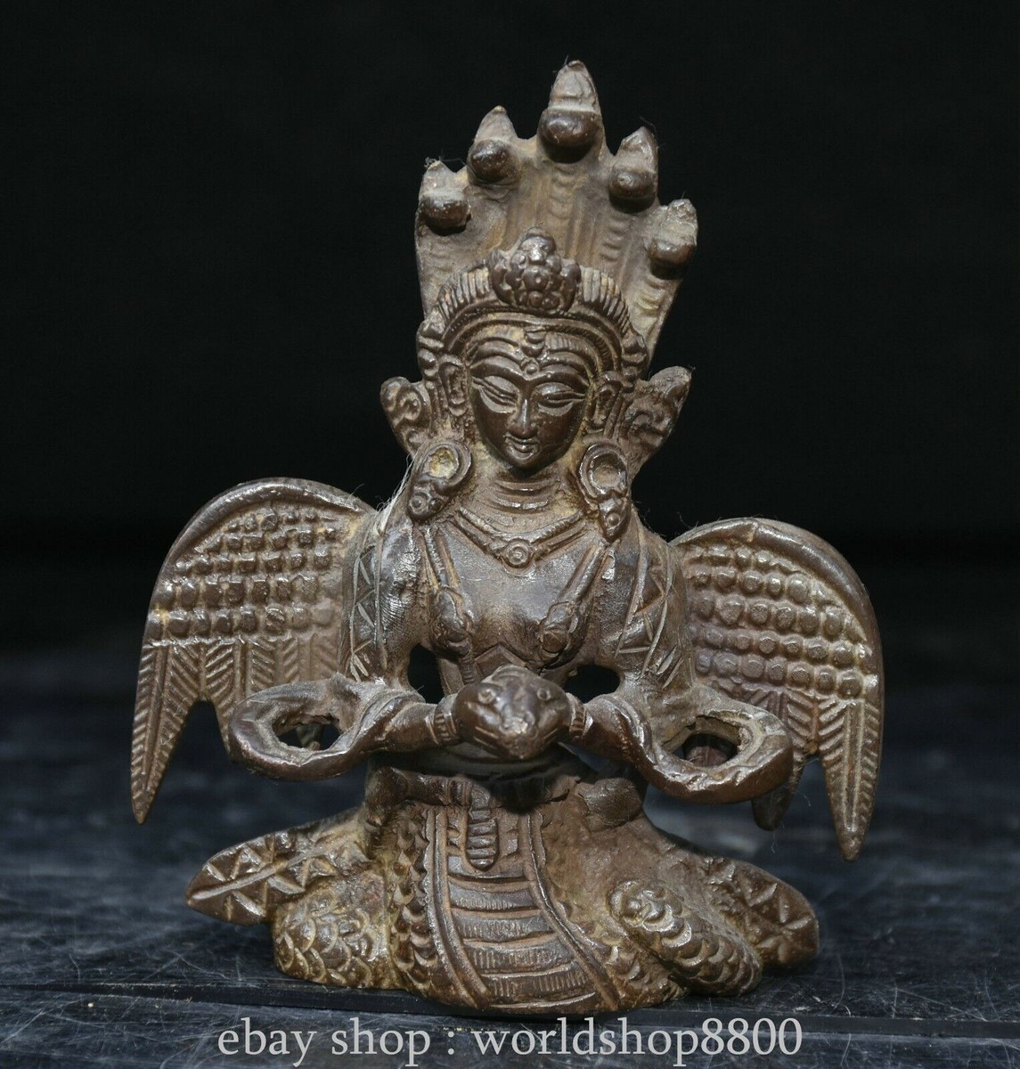 Chinese Winged Snake