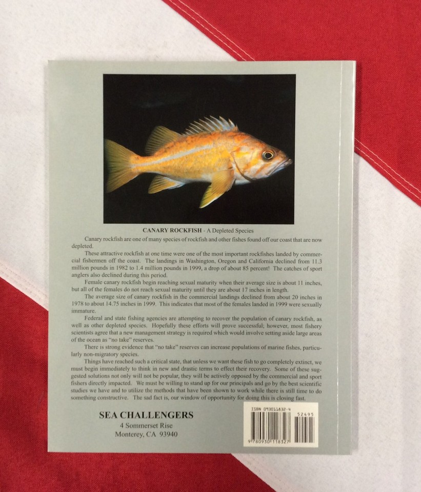 pacific coast inshore fishes scuba diving snorkeling equipment diver ...