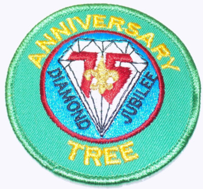 Vintage BSA/ Boy Scouts of America Patch Anniversary Tree Diamond ...