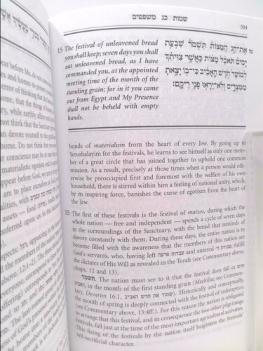 The Hirsch Chumash: The Five Books of Torah (1st Ed) 9781583307465 | eBay