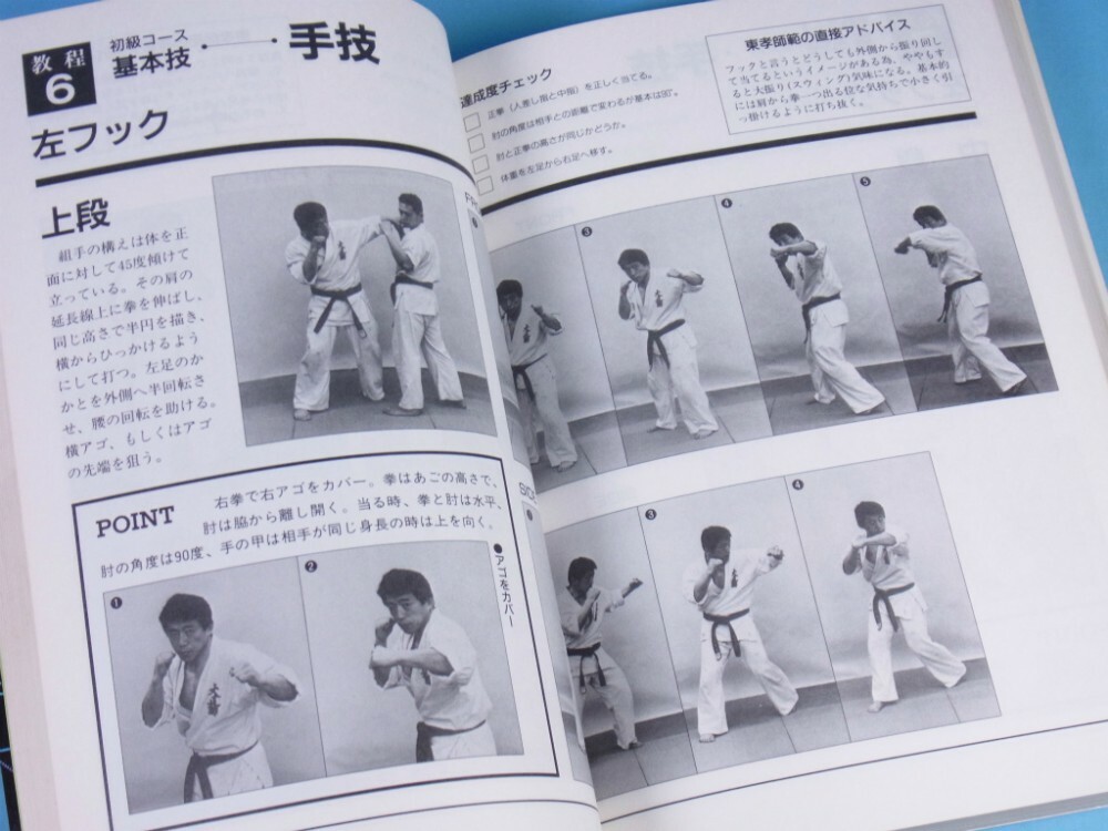 Daido Juku Karate Martial Arts Basic book Takashi Azuma Kudo MMA | eBay