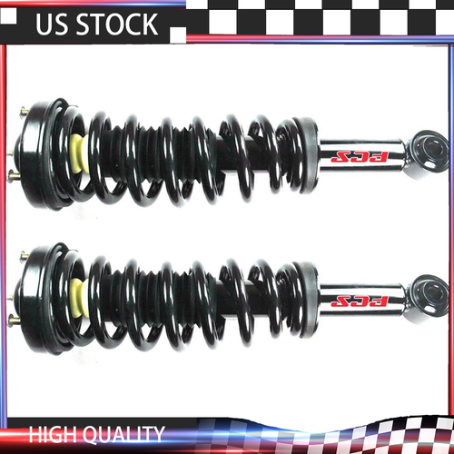 New OE Front Struts for 2009-2013 Ford F-150 2WD/4WD Lifetime Warranty ...