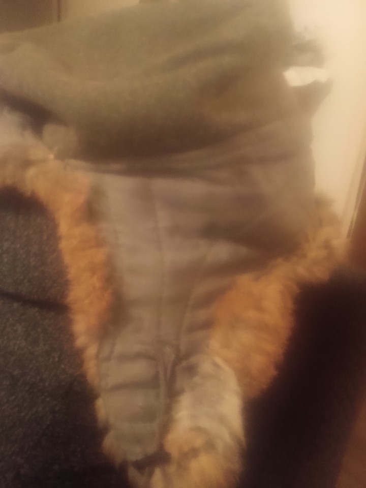 WW2 German rabbit fur hat. | eBay