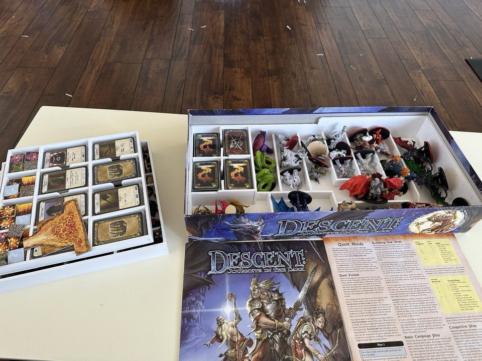 Descent 1st Edition + 2 Expansions l Painted | Sleeved | Custom Insert ...