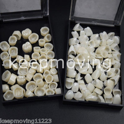 2 Packs Dental Temporary Crown Material for Anterior + Molar Teeth ...
