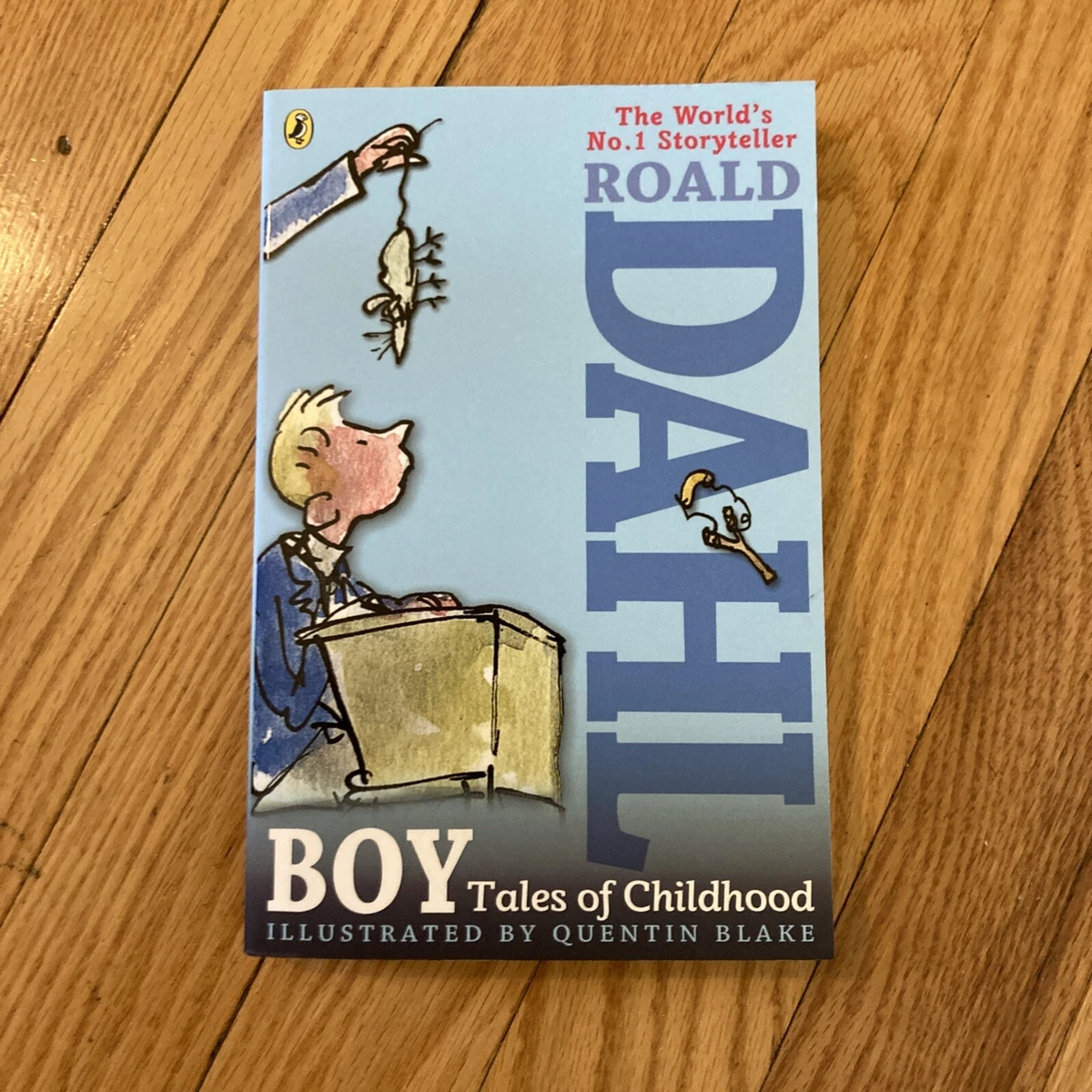 Boy Tales Of Childhood