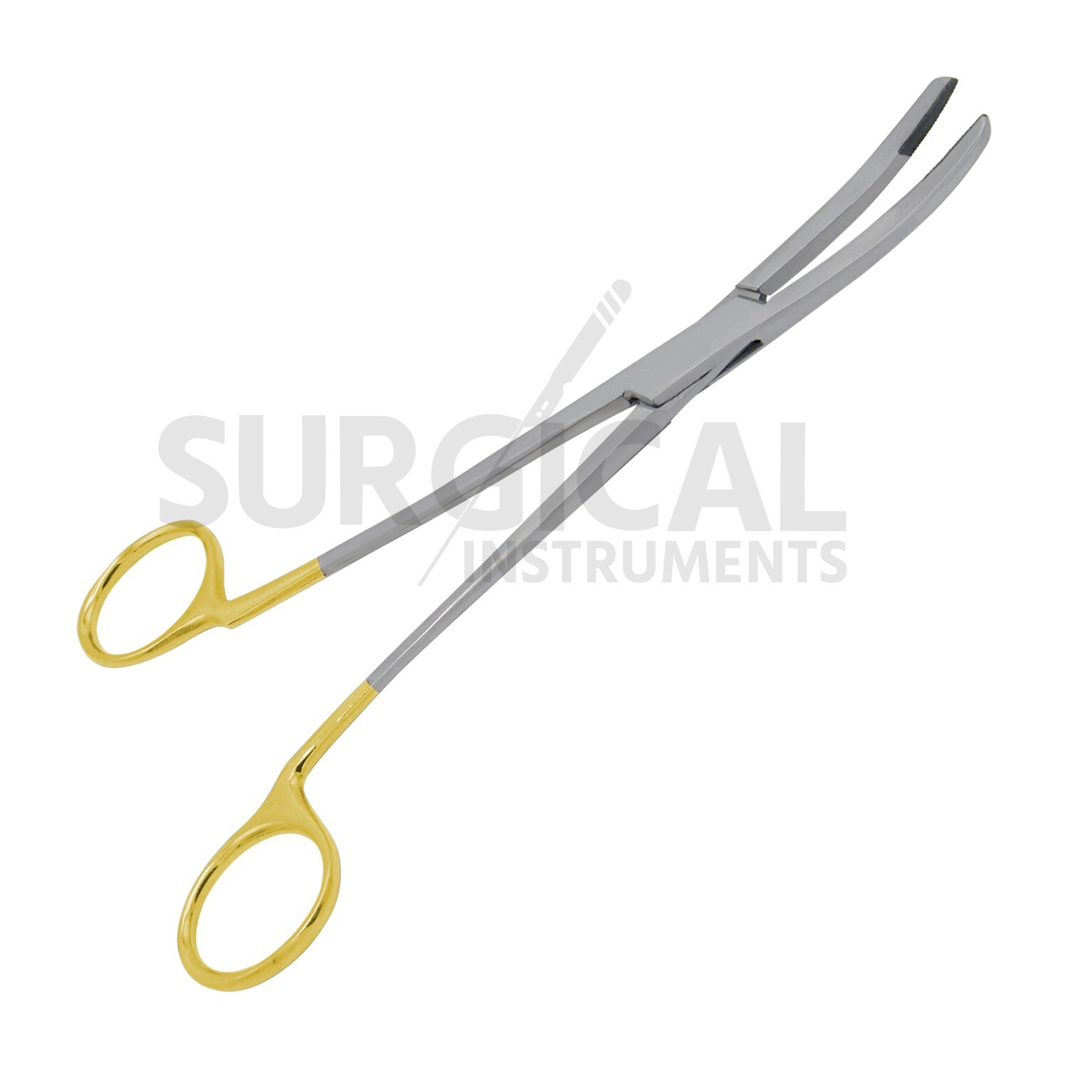 Wynman Crown Gripper Dental Surgical Instrument Dentist Stainless ...