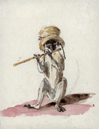 Angustias Portugal - Monkey Playing Flute 1836 - Small Watercolour ...