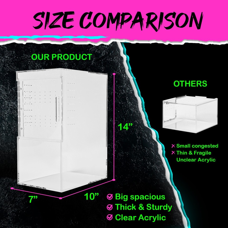 Acrylic Tarantula Enclosure Extra Large 14 in. x 10in. x 7in. | eBay